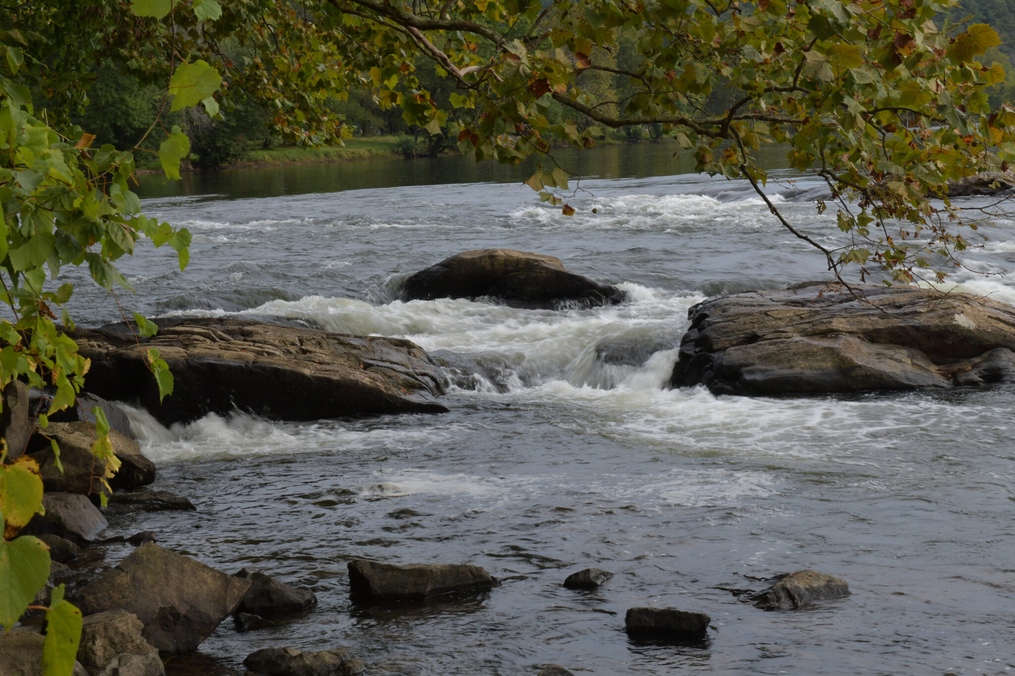 Expanding Place-Based Investment - Locus